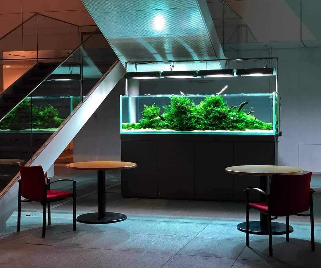 WEEK AQUA LED PRODUCT – WEEK AQUA INTERNATIONAL For Aquarium & Fish ...