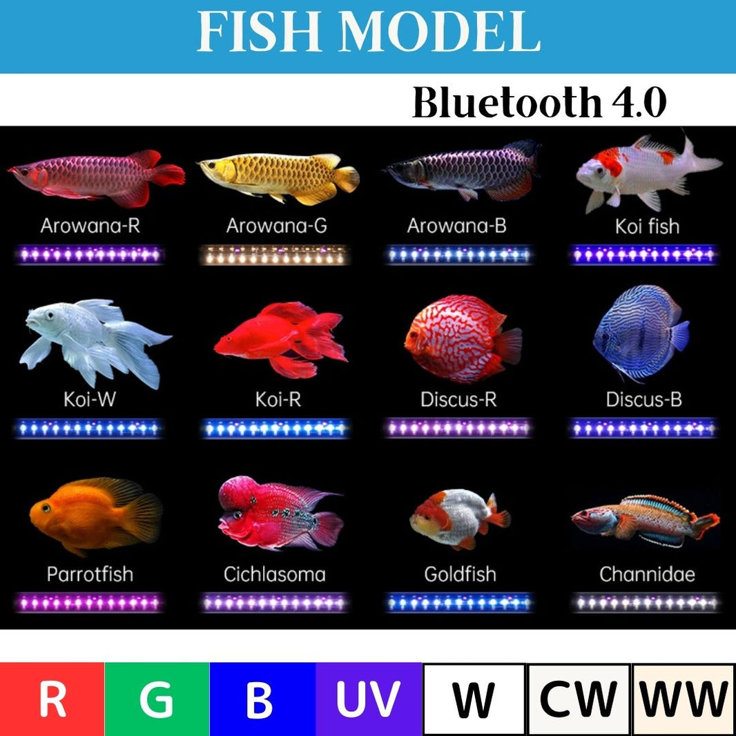 all Product – WEEK AQUA INTERNATIONAL For Aquarium & Fish Tank Light LED