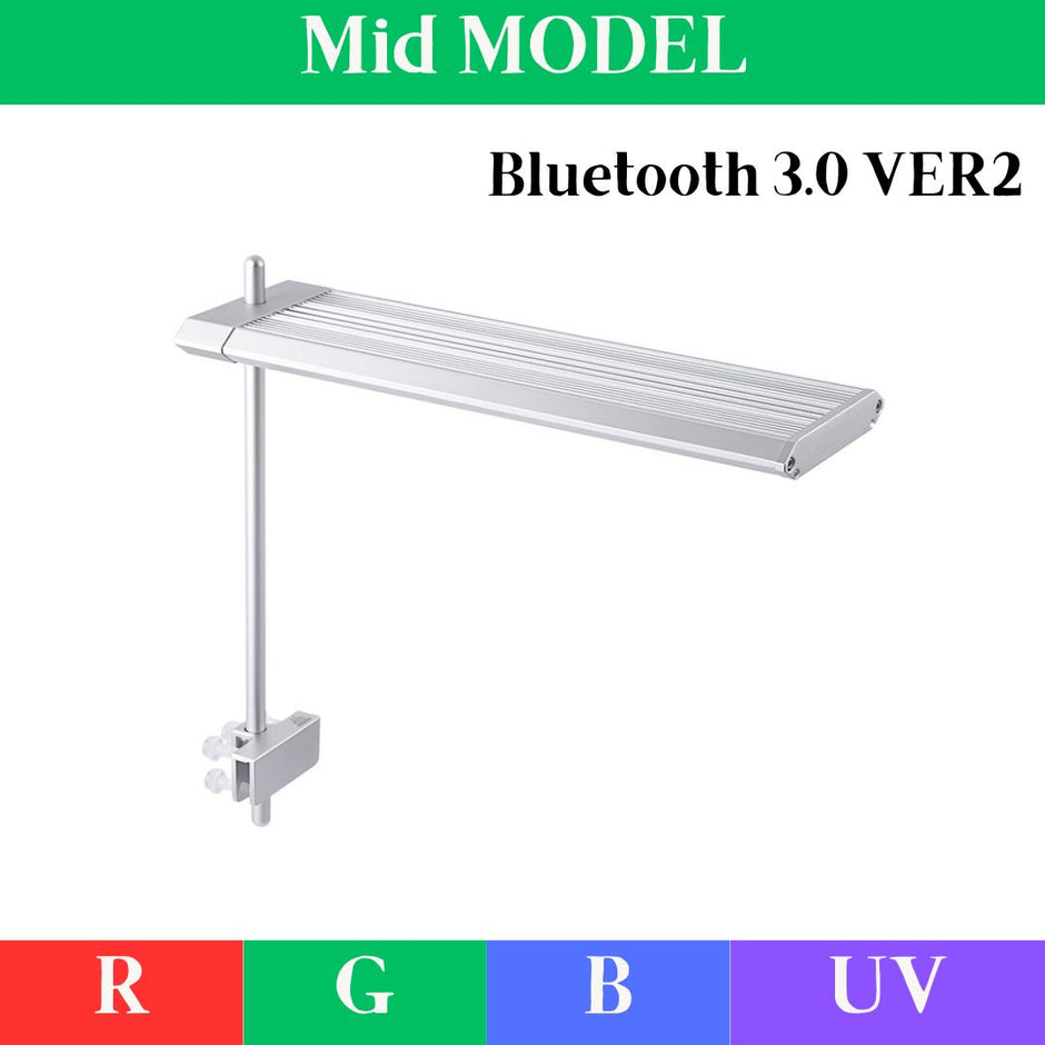 WEEK AQUA MIDDLE SPEC MODEL – WEEK AQUA INTERNATIONAL For Aquarium ...