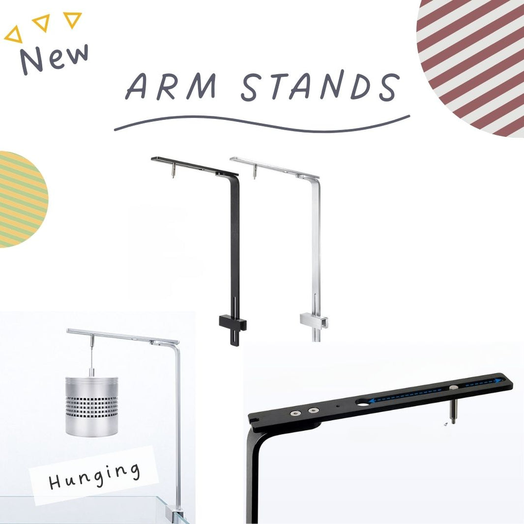 WEEK AQUA orginal Stand – WEEK AQUA INTERNATIONAL For Aquarium & Fish ...