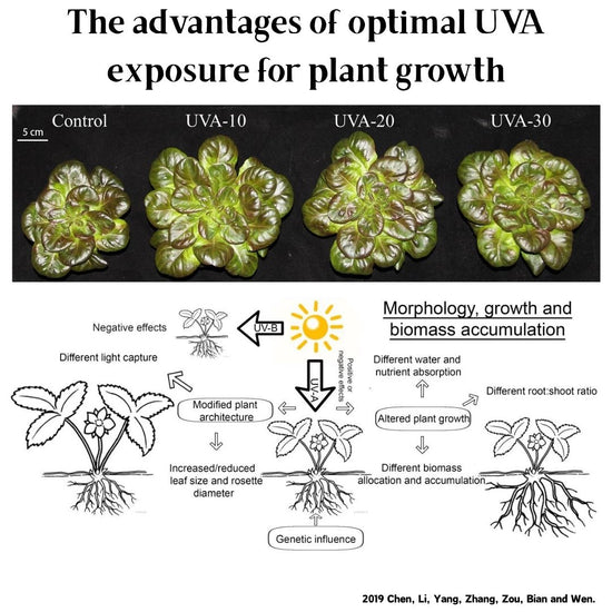 WEEK AQUA NEW M Series M300 M400 M450 M600 M800 M900 M1200 PRO RGB+UVA ...