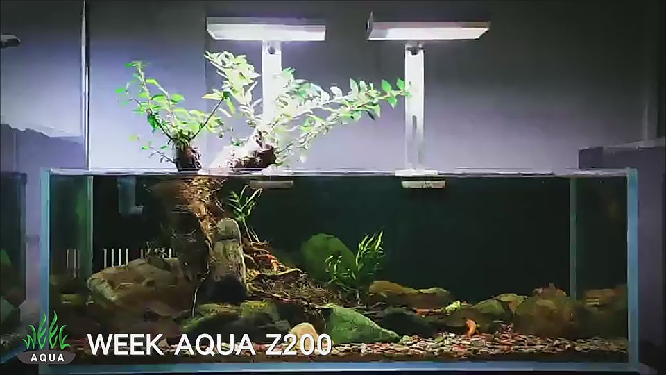 WEEK AQUA NEW Z200 Series WRGB RGB UVA Aquarium Lightning【WEEK AQUA IN ...