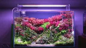 WEEK AQUA NEW M Series M300 M400 M450 M600 M800 M900 M1200 PRO RGB+UVA ...